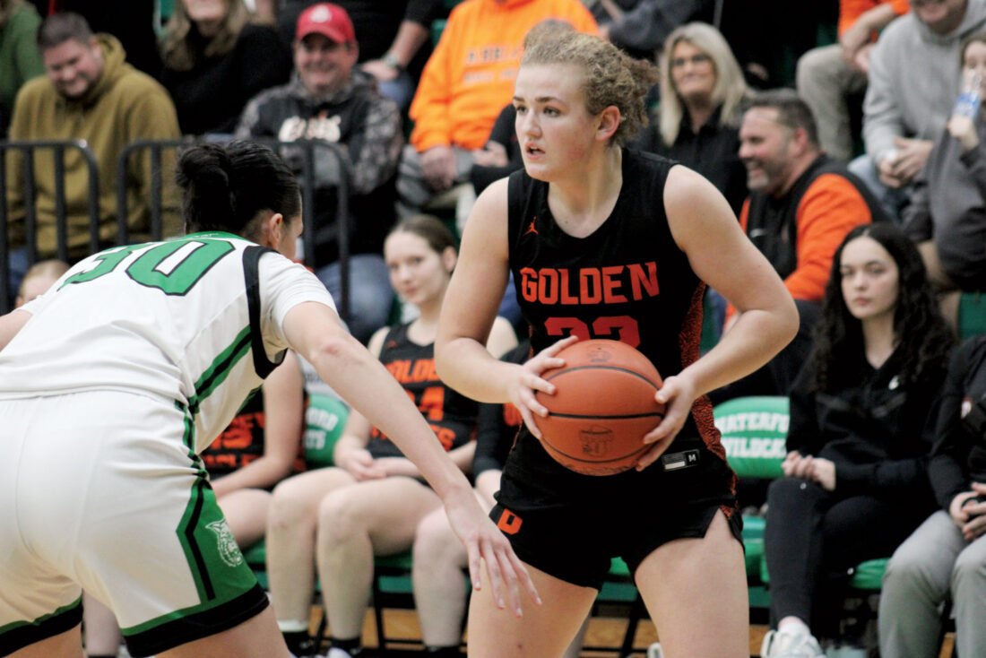 Mid-Ohio Valley Prep Basketball Statistical Leaders | News, Sports ...